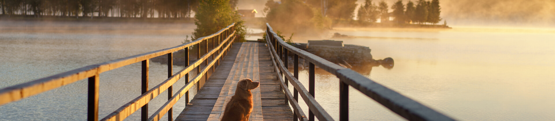 Footbridge News - FootBridge Law